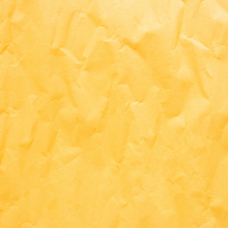 Catapult Film Fund 2025 - Trybe Africa